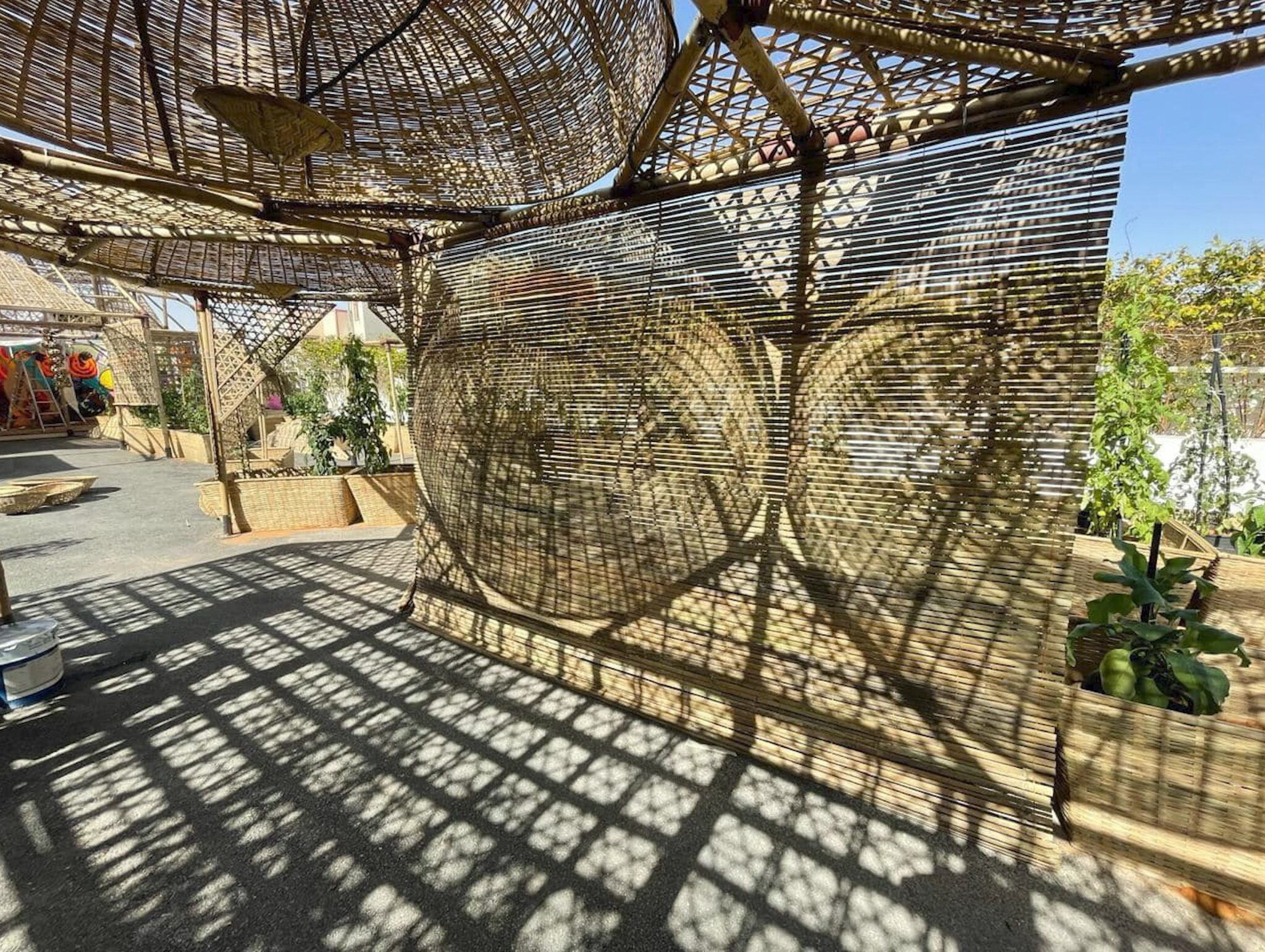Asia NOW 2024 | Britto Arts Trust – Asia Now